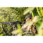 VORTEX OPTICS Viper Shotgun Enclosed Micro 3 MOA Red Dot Black SKU ...