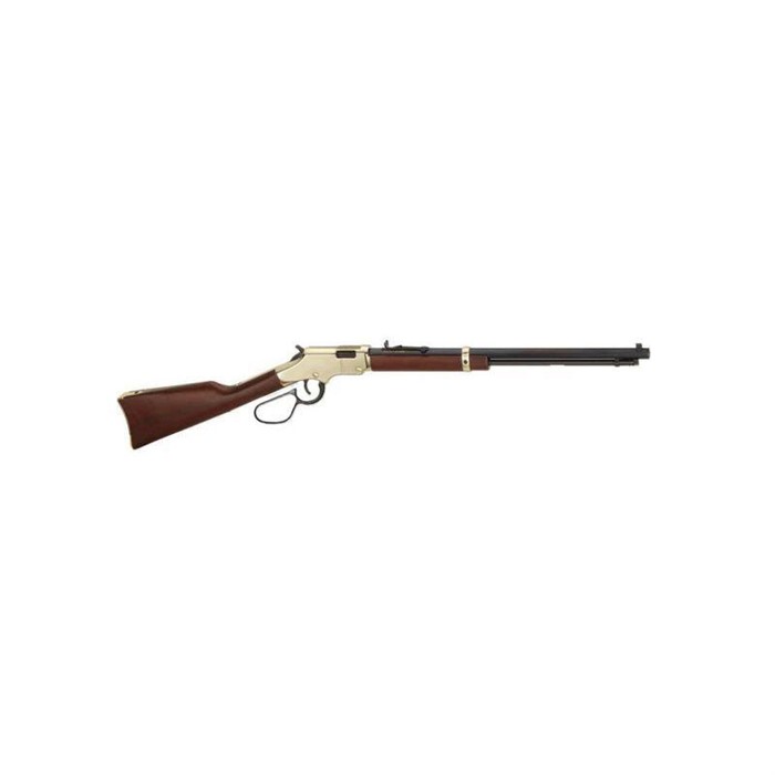 HENRY REPEATING ARMS GOLDENBOY LARGE LOOP 20IN 17 HMR BLUE WOOD RIFLE ...