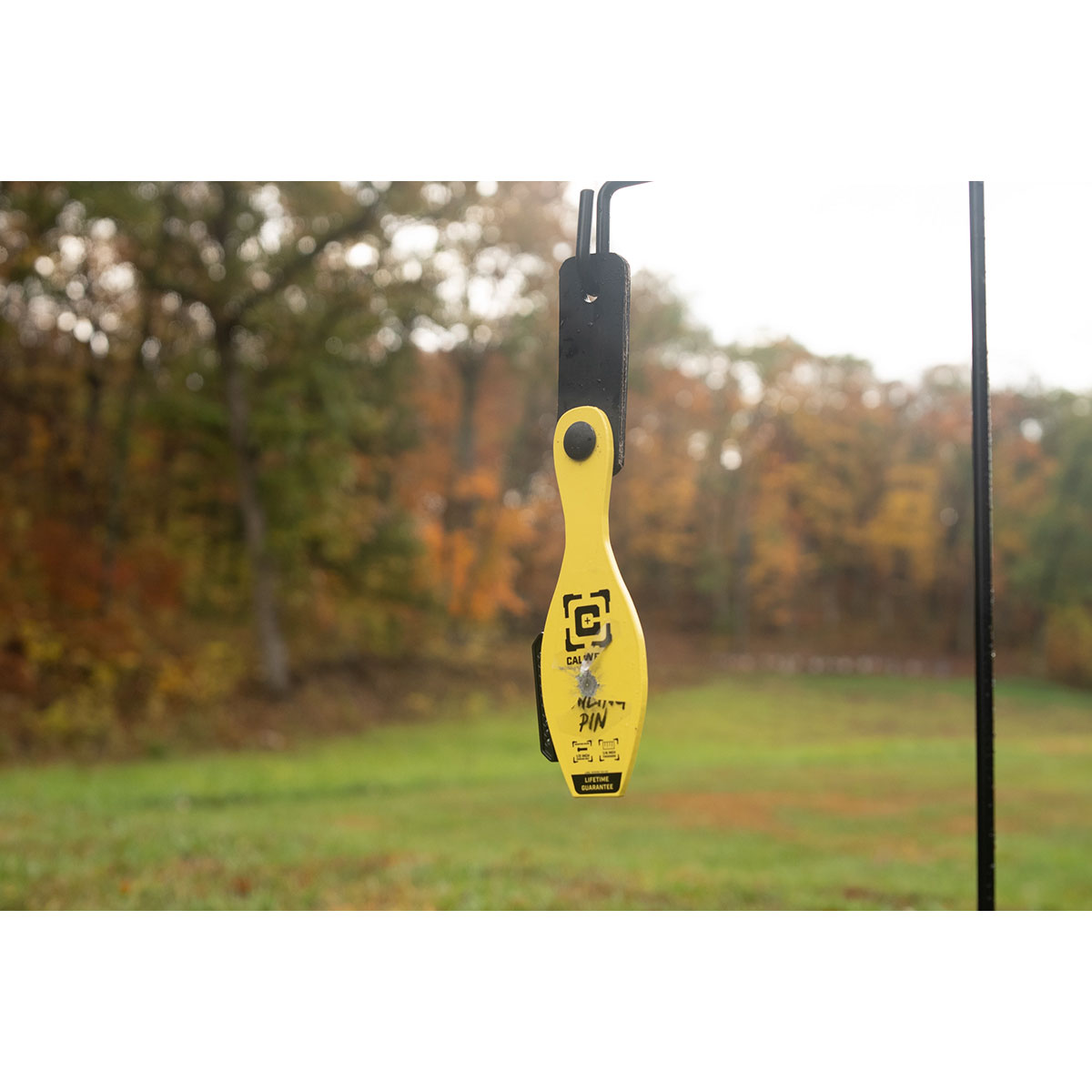 CALDWELL SHOOTING SUPPLIES AR500 RIMFIRE/HANDGUN 1/4" STEEL NOVELTY TARGETS