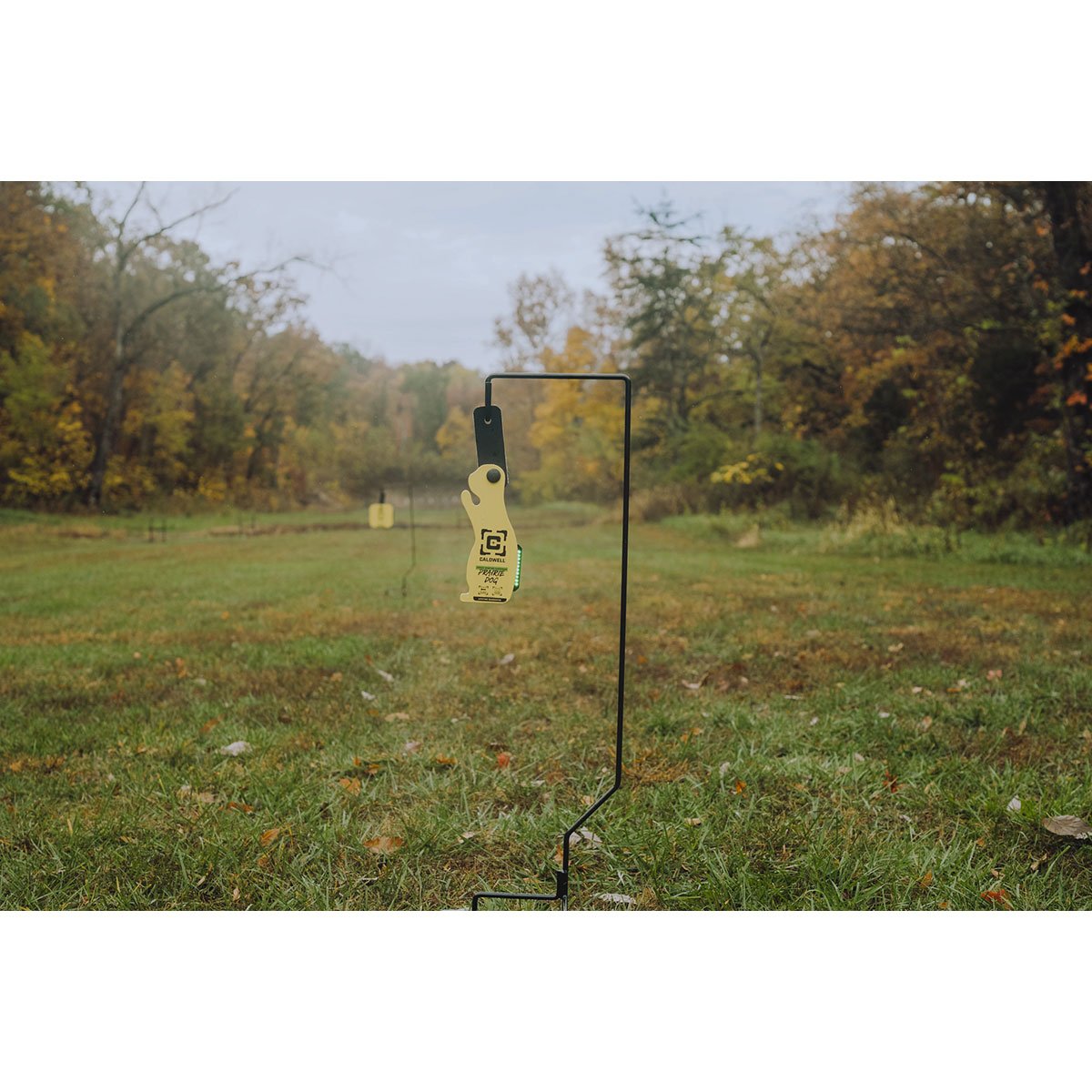 CALDWELL SHOOTING SUPPLIES AR500 RIMFIRE/HANDGUN 1/4" STEEL NOVELTY TARGETS